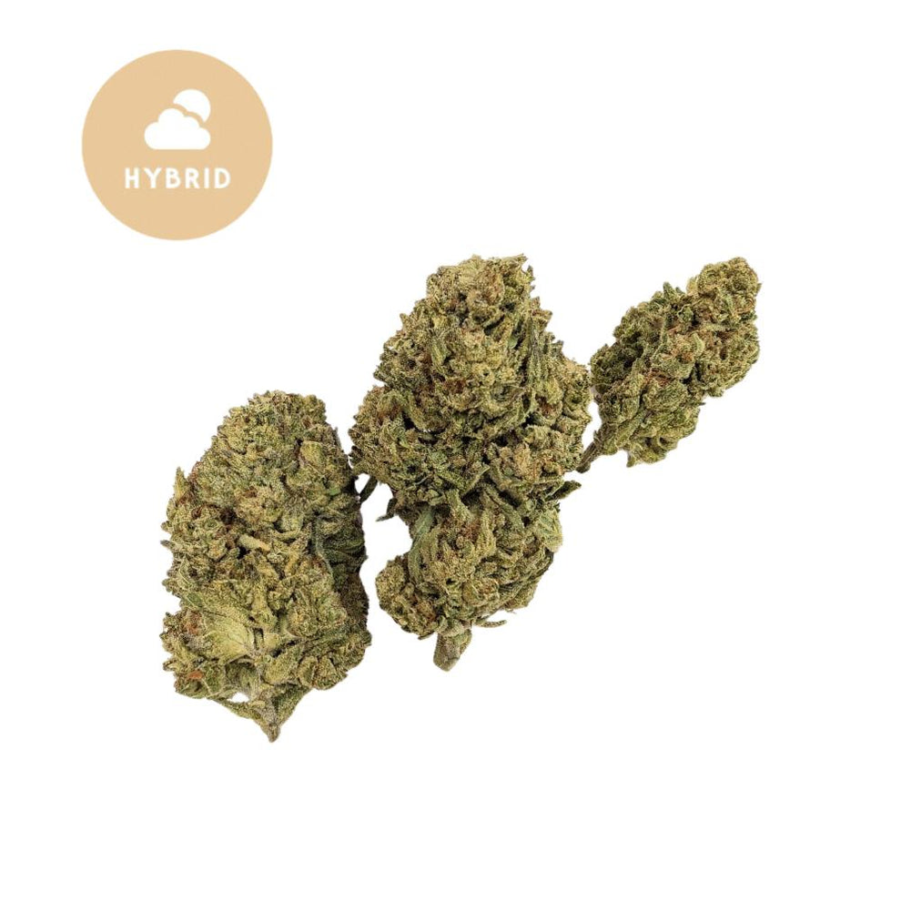 Purple Horchata THCA - Gold for Less Collection – California Gold Farm
